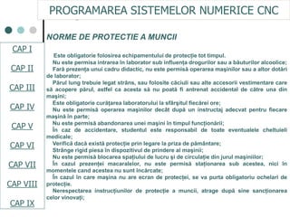 Cap.i istoric si terminologie | PDF