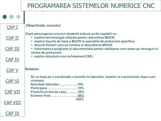 Cap.i istoric si terminologie | PDF