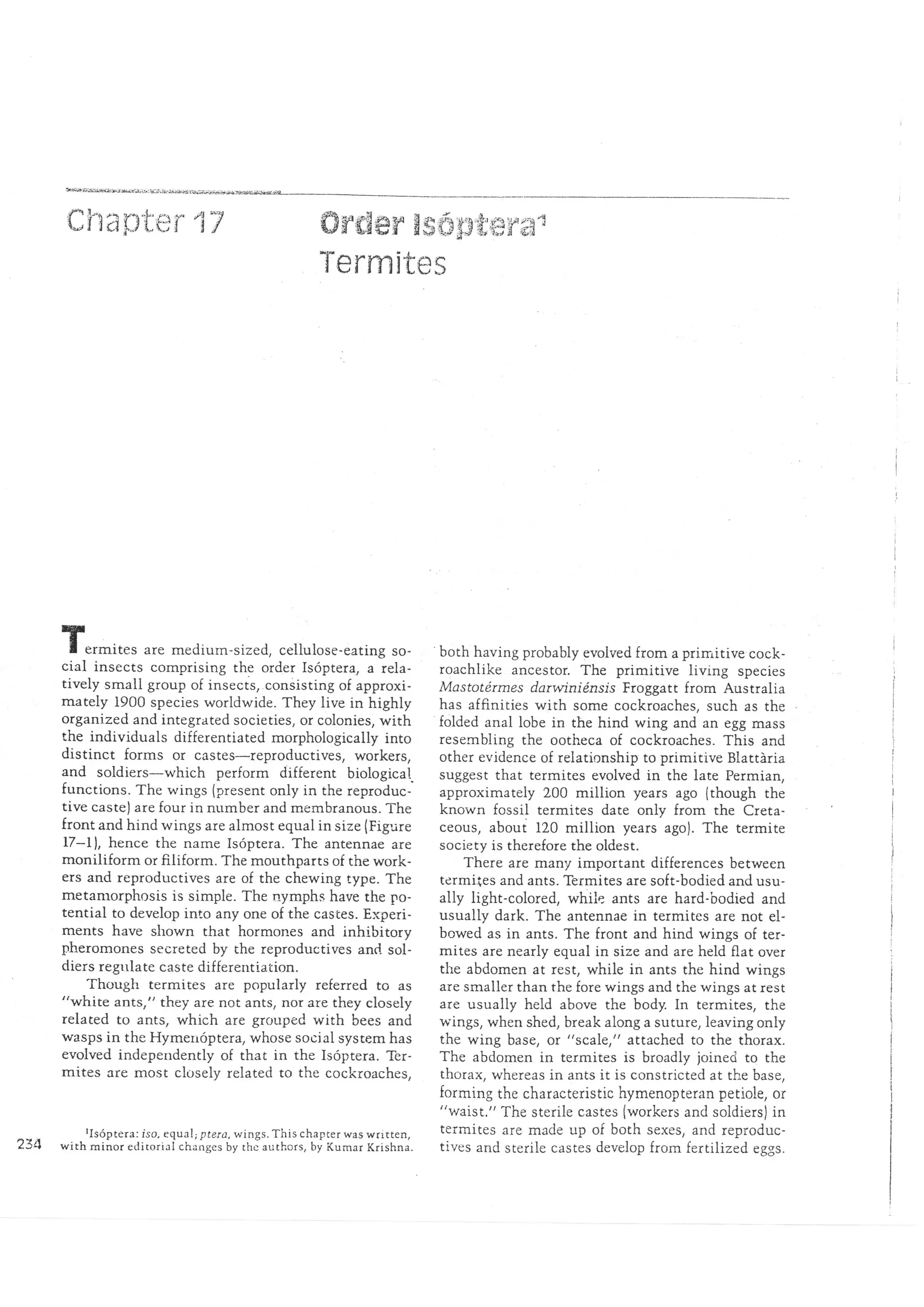 Cap 17-isoptera | PDF