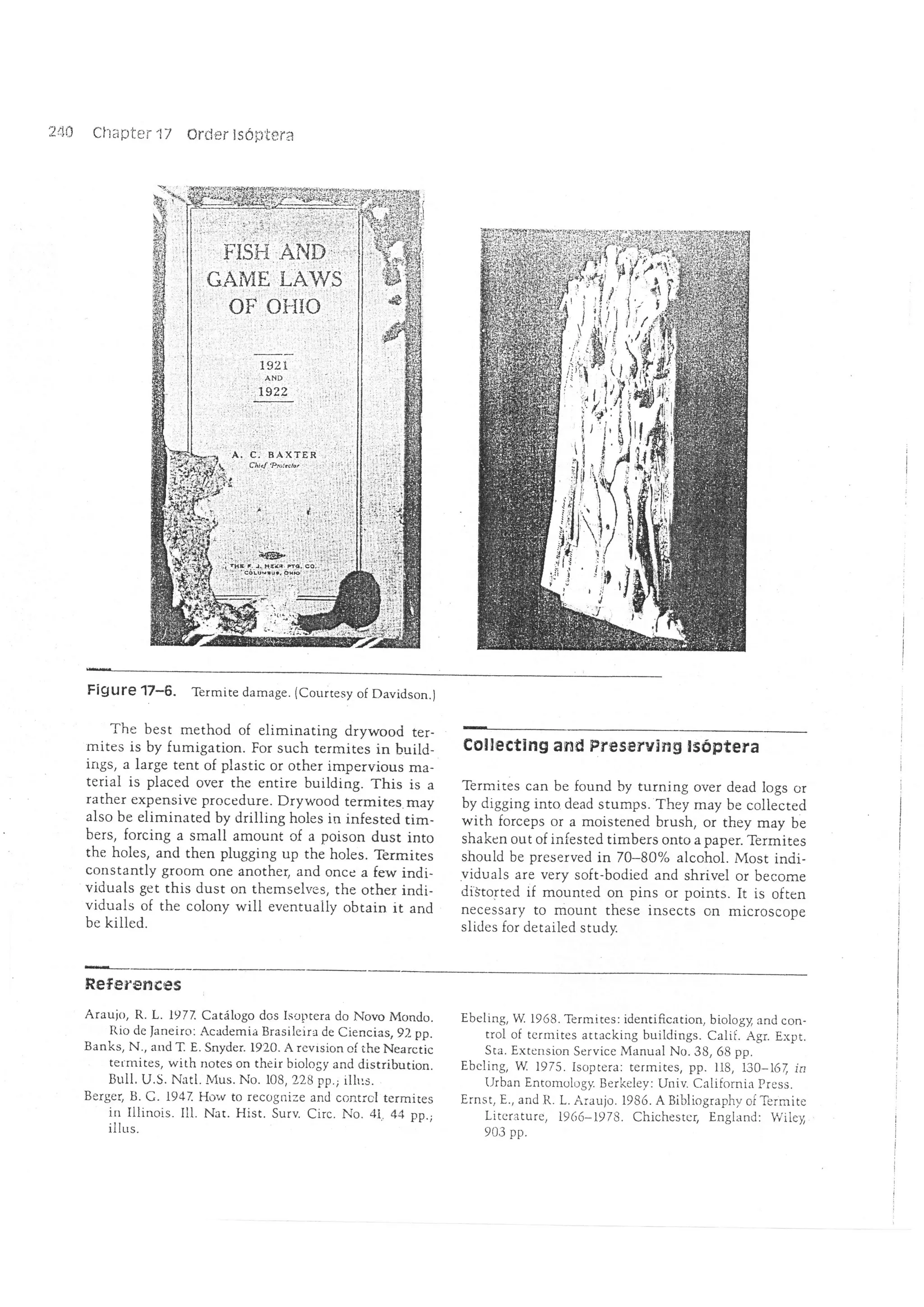 Cap 17-isoptera | PDF
