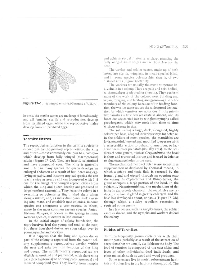 Cap 17-isoptera | PDF