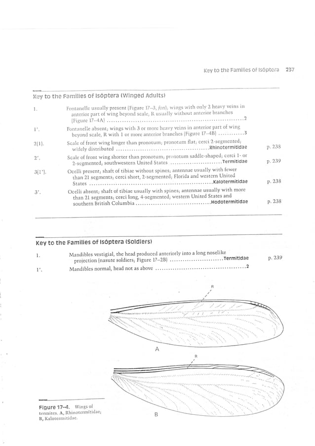 Cap 17-isoptera | PDF