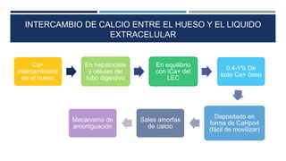 Cap.80 fisio hum_hormona-paratiroidea-calcitonina-metabolismo-del ...