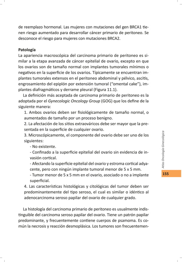 Cáncer primario de peritoneo | PDF