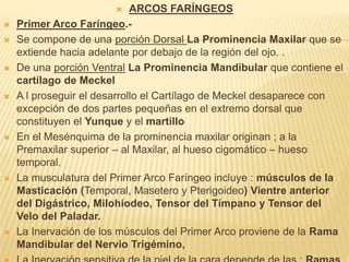 Cap. 17 embriologia de . Cabeza y Cuello | PPTX