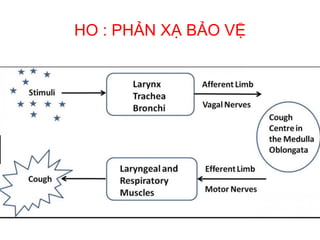 CẬP NHẬT VỀ TIẾP CẬN HO TRẺ EM | PDF