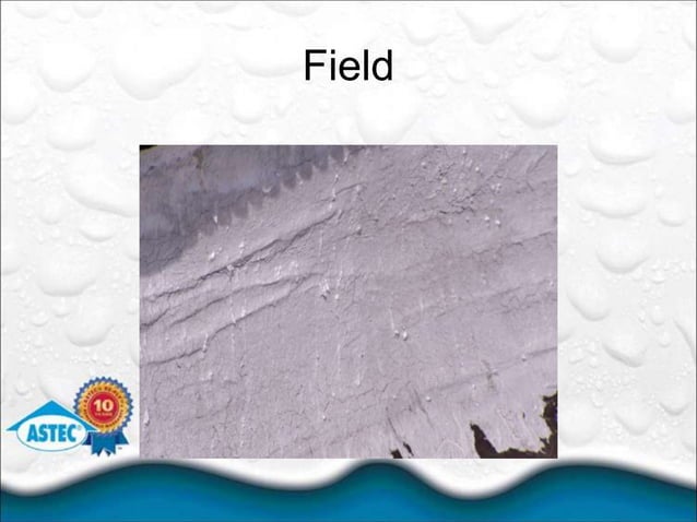 Astec Cap Sheet Roofing Project | PPT