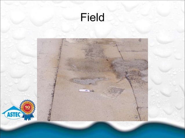 Astec Cap Sheet Roofing Project | PPT