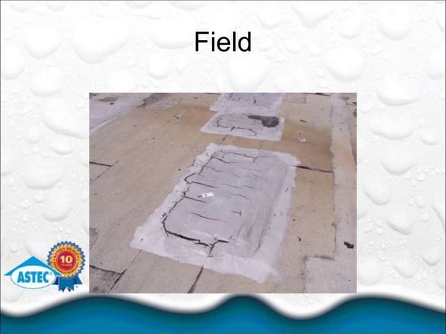 Astec Cap Sheet Roofing Project | PPT