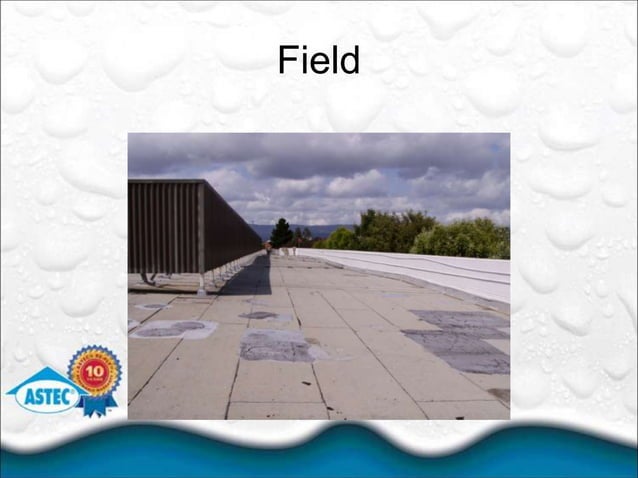 Astec Cap Sheet Roofing Project | PPT