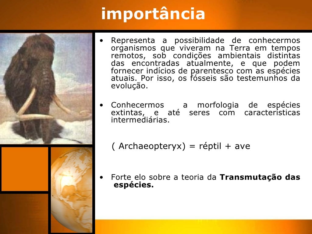Cap 12 evidencias da evolucao Cap 12 evidencias da evolucao