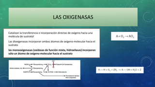Cap 12 oxidacion biologica | PPTX