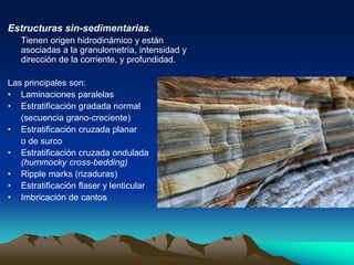 Cap 1 Estructuras primarias Sedimentarias.pdf