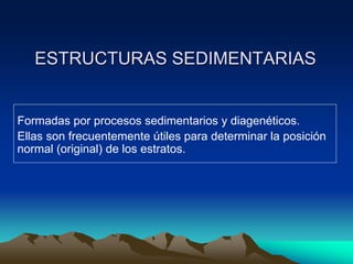 Cap 1 Estructuras primarias Sedimentarias.pdf