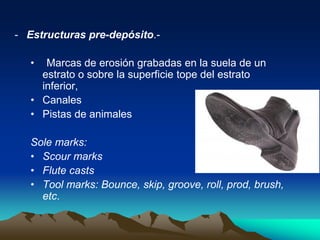 Cap 1 Estructuras primarias Sedimentarias.pdf