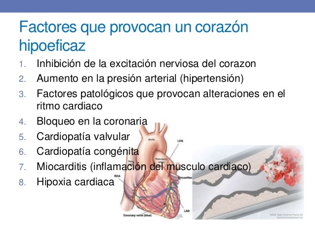 Gasto cardíaco, retorno venoso y su regulación – Brenda Alejandra