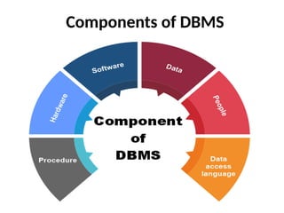 Basic of Database Management System(DBMS) | PPT