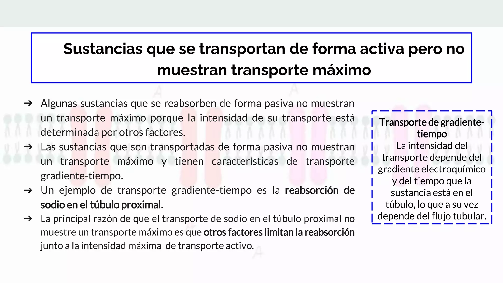 Cap 28 reabsorcion y secrecion tubular renal - Guyton y Hall | PPTX ...