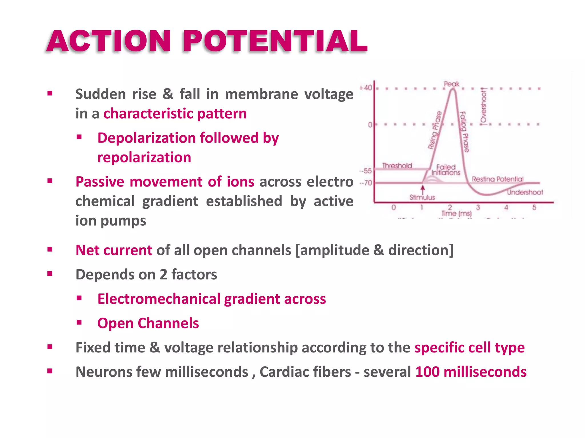 Cardiac action potential | PPTX