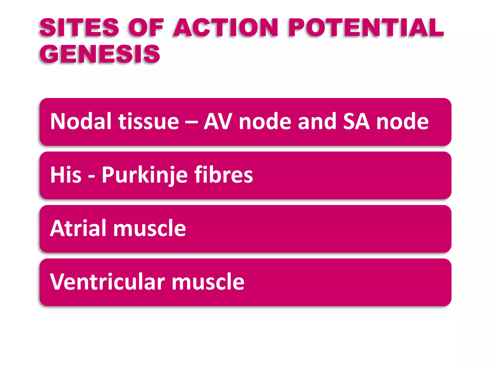 Cardiac action potential | PPTX