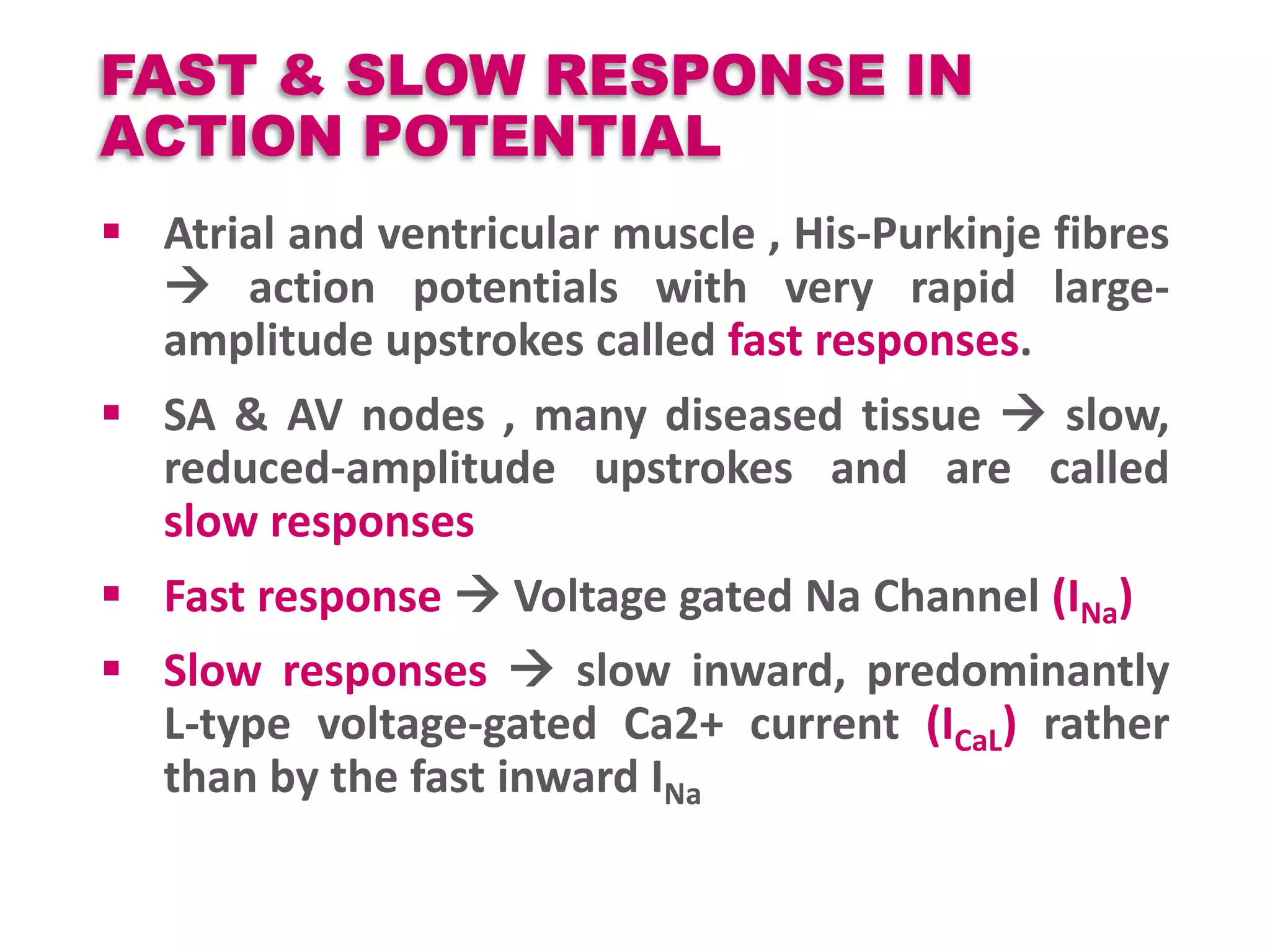 Cardiac action potential | PPTX