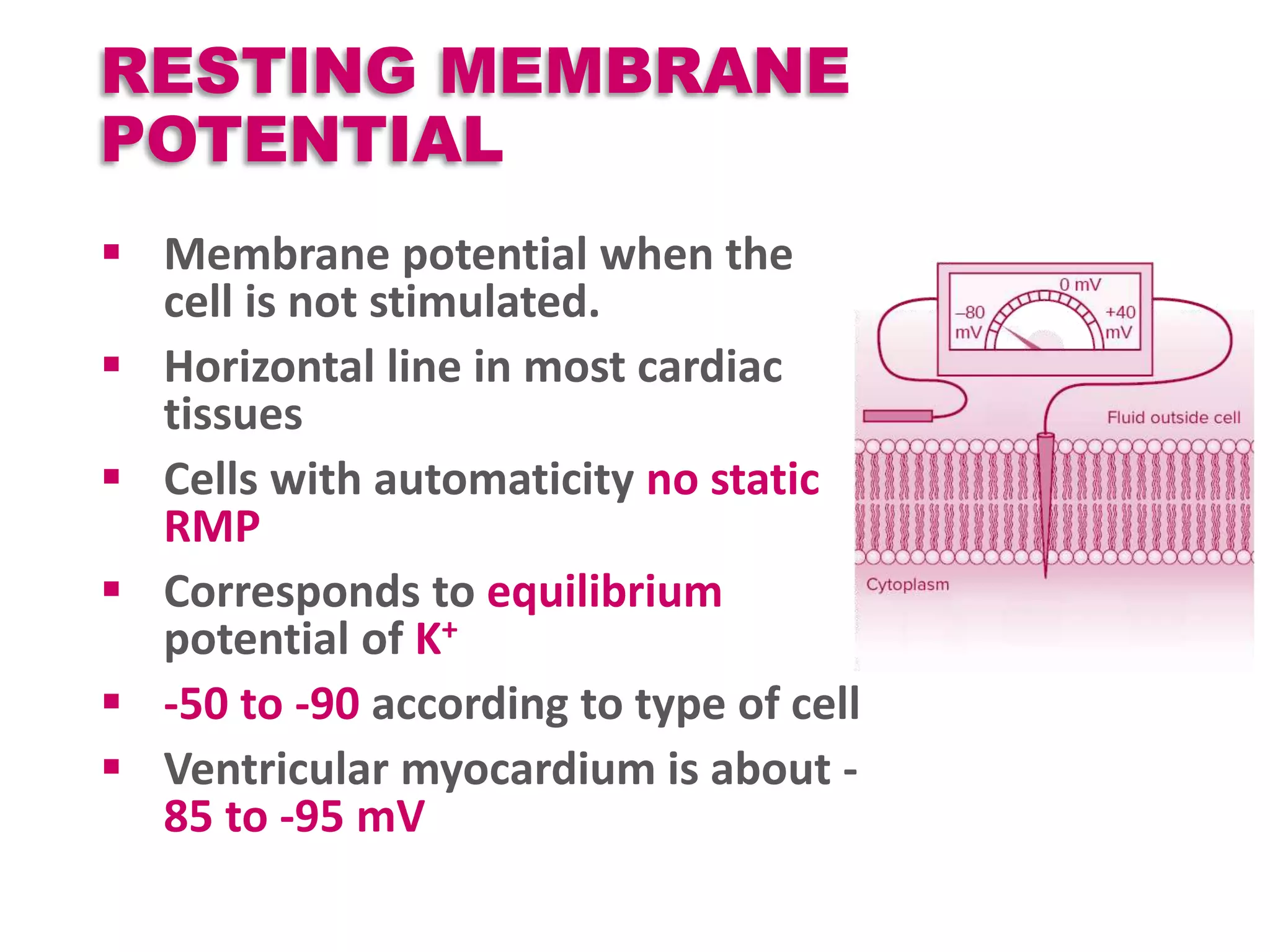 Cardiac action potential | PPTX