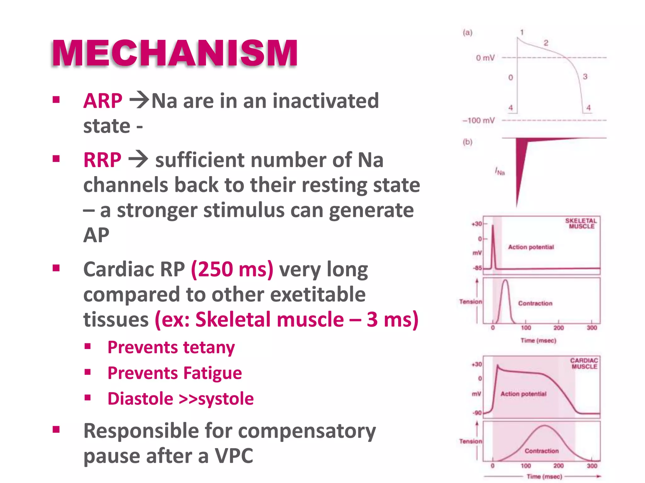 Cardiac action potential | PPTX
