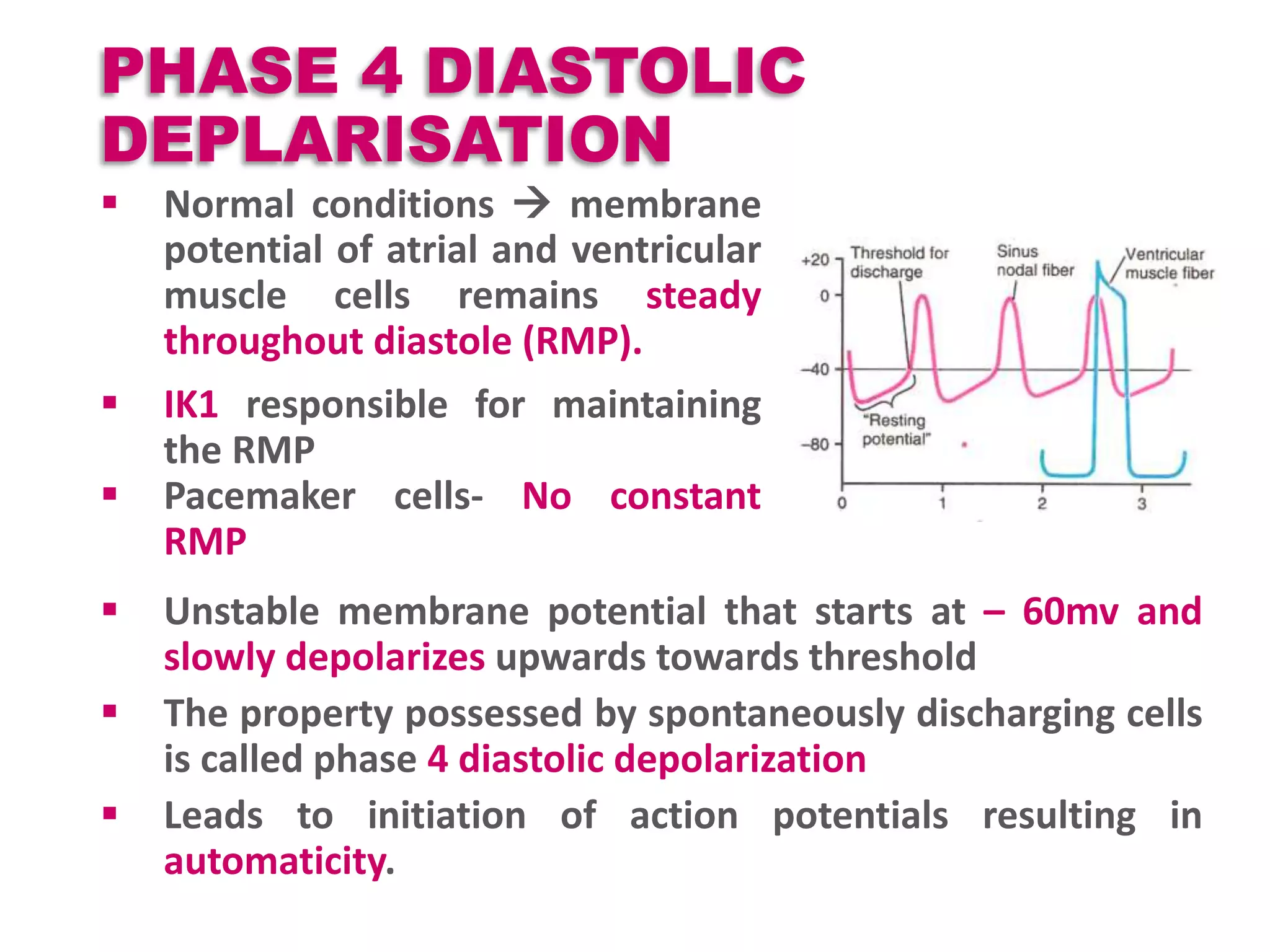 Cardiac action potential | PPTX
