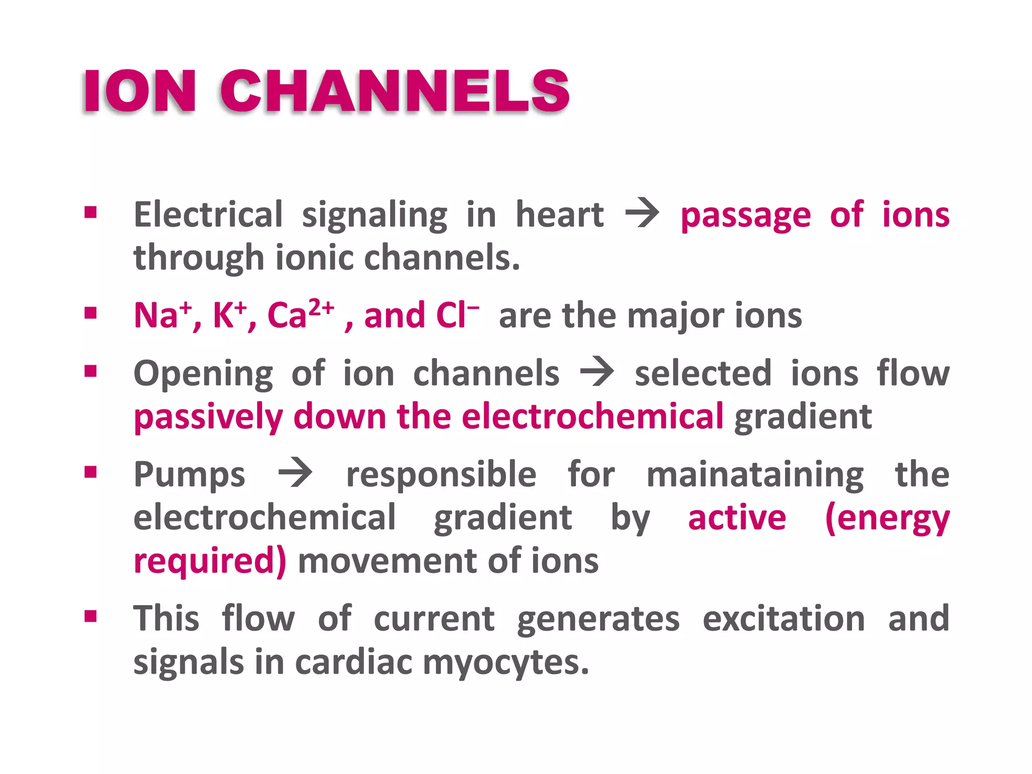 Cardiac action potential | PPTX