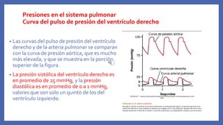 Cap_39_Circulacion_Pulmonar.pptx