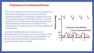 Cap_39_Circulacion_Pulmonar.pptx