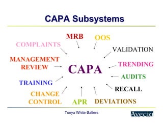 Corrective and Preventive Action blueprint .pdf