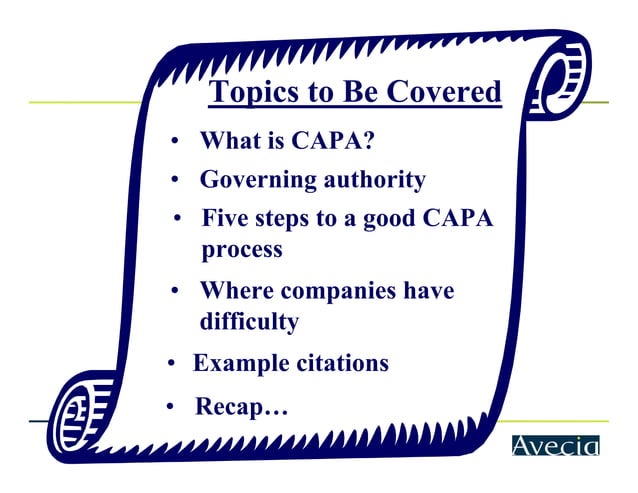 Corrective and Preventive Action blueprint .pdf