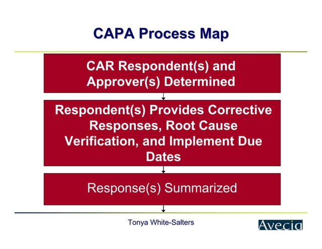 Corrective and Preventive Action blueprint .pdf