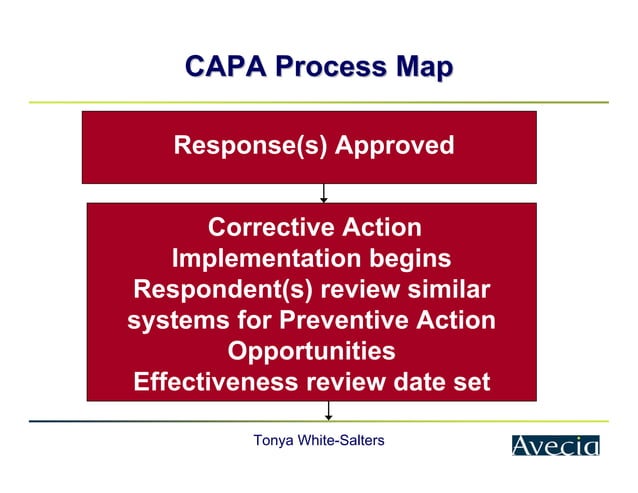Corrective and Preventive Action blueprint .pdf