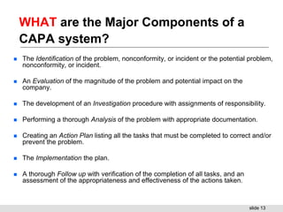 CAPA-Overview-PPTSample.pdf