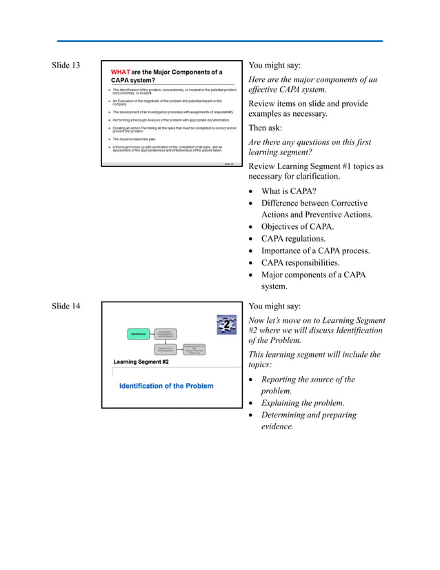 CAPA-Overview-PPTSample.pdf | Business | Business and Finance
