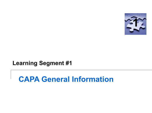 CAPA-Overview-PPTSample.pdf | Business | Business and Finance