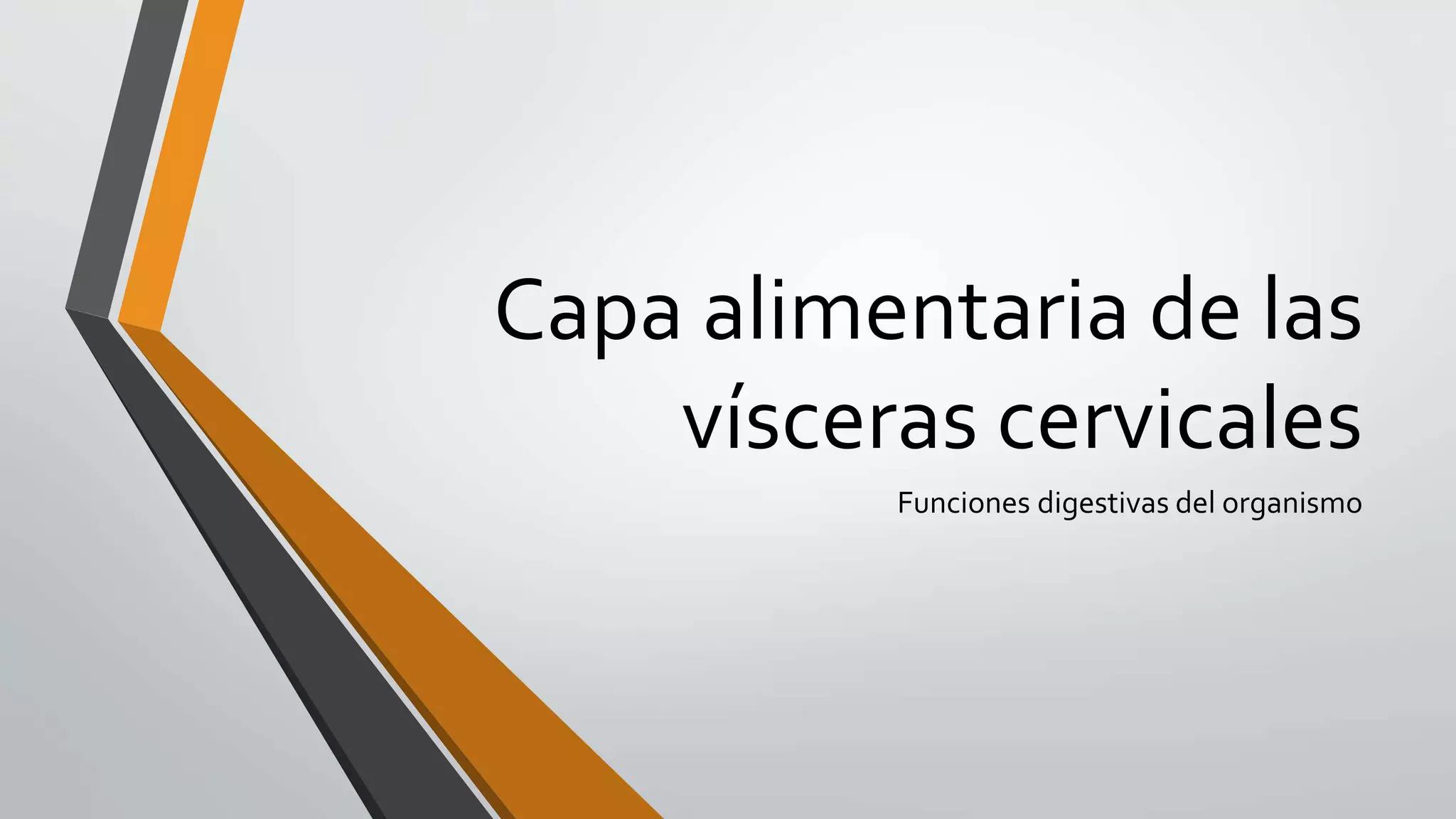 Capa alimentaria de las vísceras cervicales | PPTX | Thyroid Disorders ...