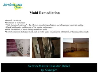 ServiceMaster by Schaefer | PPT