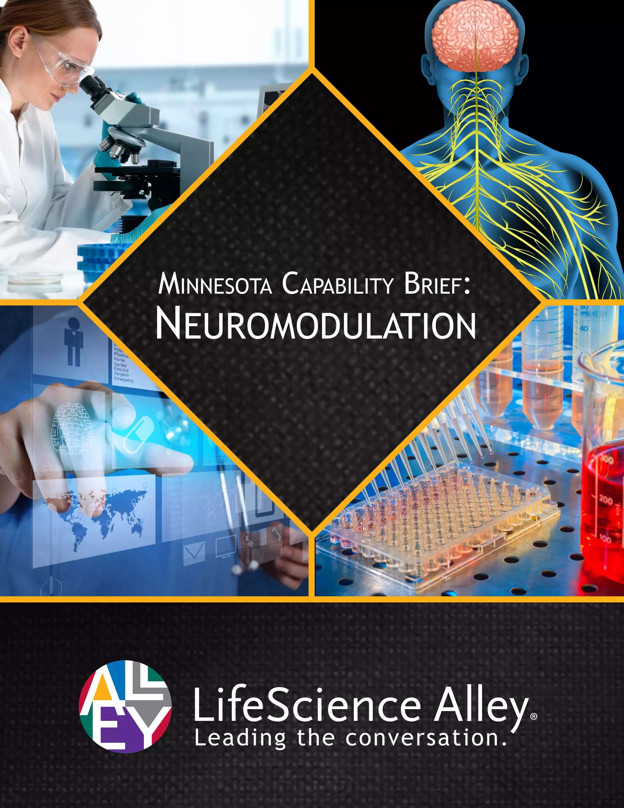 Capability brief neuromodulation_life_science_alley_rev_4_28_15_01 | PDF