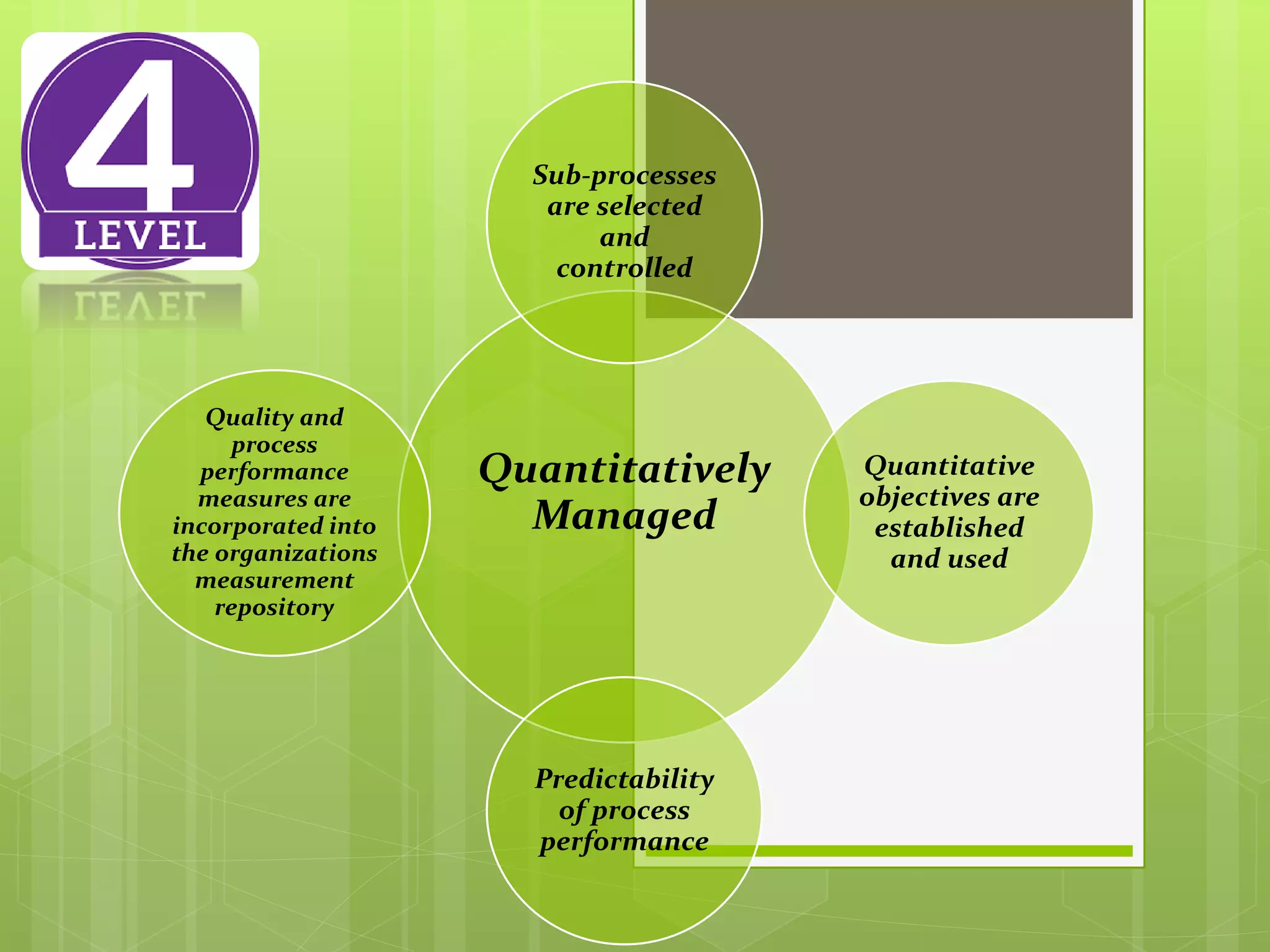Capability maturity model | PDF