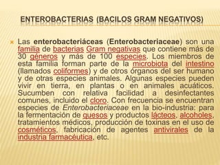CAPACITACION DE BACTERIOLOGIA.pptx