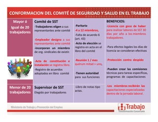 FUNCIONES DEL COMITE DE SEGURIDAD Y SALUD EN EL TRABAJO.pdf