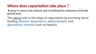 The process of Capacitation in human male .pptx