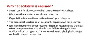 The process of Capacitation in human male .pptx