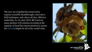 BCI: Investing in the World's Bat Conservation Leaders