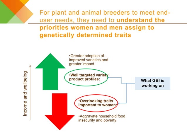 CGIAR Gender and Breeding Initiative | PPT