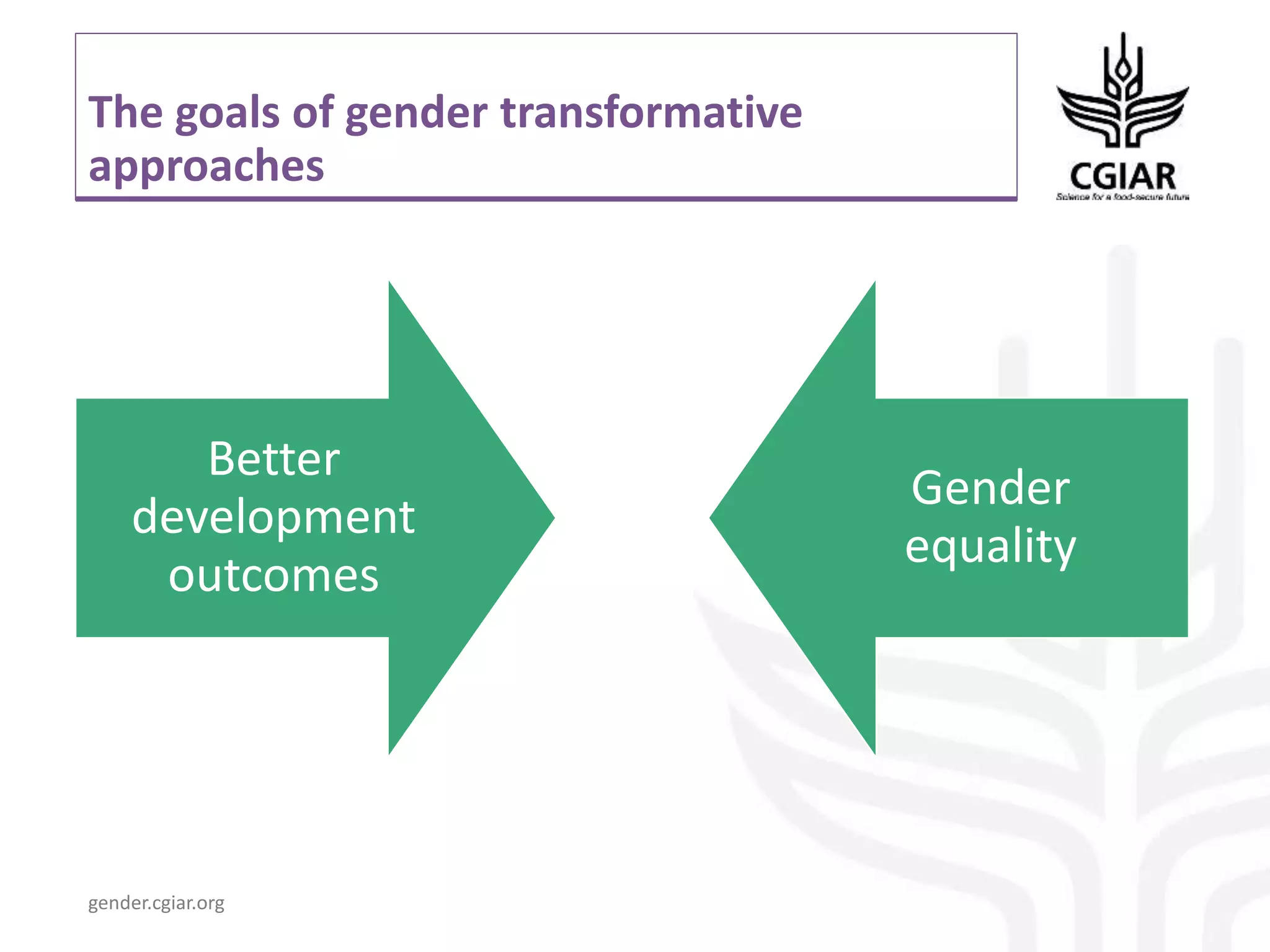 Gender Transformative Approaches In Agriculture Ppt