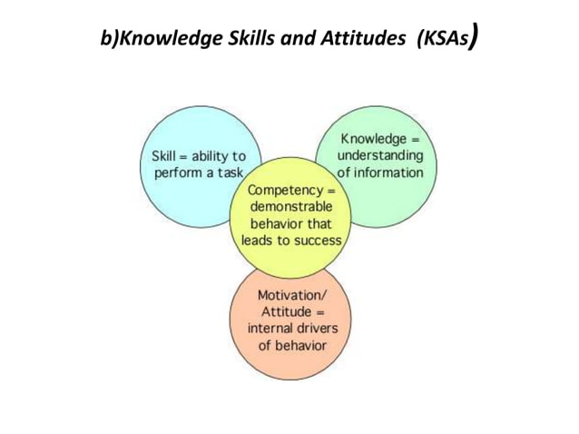 CAPACITY BUILDING IN DISASTER MANAGEMENT | PPTX | First Aid | Injuries